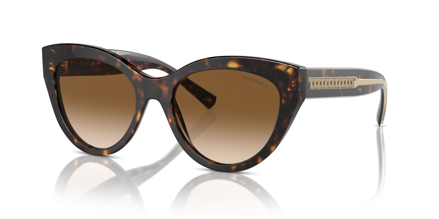 Sunglasses Woman Tiffany TF 4220 801551 - price: €246.70 | Free ...